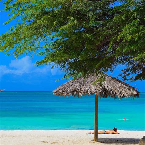 Download Aruba Beach Sun Bathing Pictures