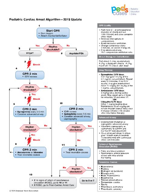 pals pediatric bradycardia with a pulse algorithm pal
