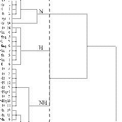 Dendrogram Representing The Results Of Hierarchical Cluster Analysis