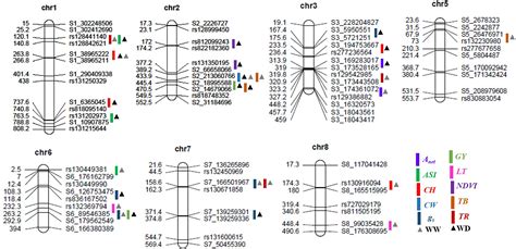 frontiers mapping of qtls for morphophysiological and yield traits under water deficit stress