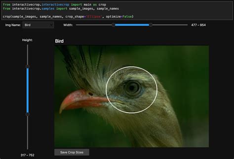 Interactive Image Cropping In Python Open Bits