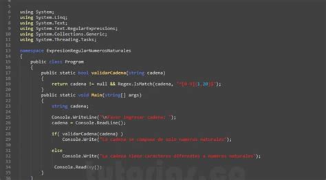 Funciones VisualStudio C Expresion Regular Numeros Naturales