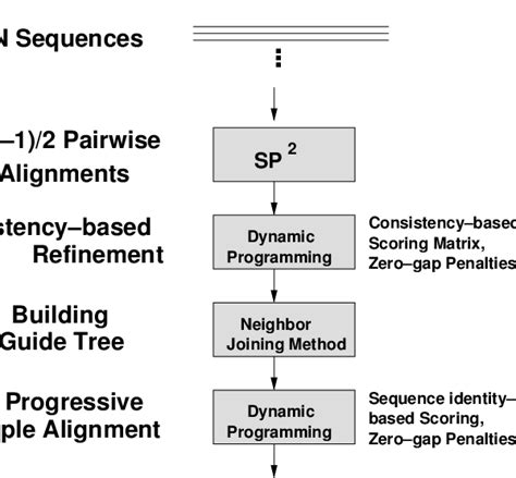 the flow chart of spem for multiple sequence alignment download scientific diagram