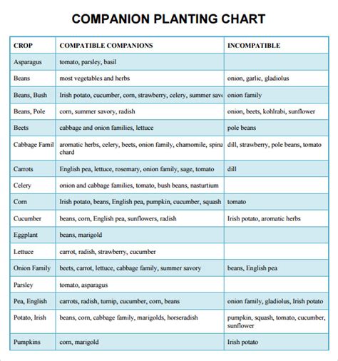 FREE 9 Sample Companion Planting Chart Templates In PDF MS Word