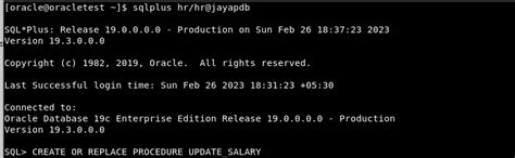 oracle stored procedure with in parameter dot net tutorials