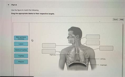 solved part a use the figure to match the following drag the