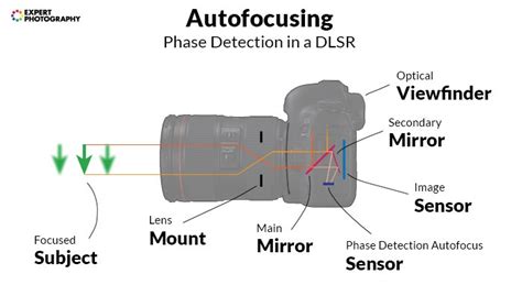 what is phase detection autofocus and why it s important