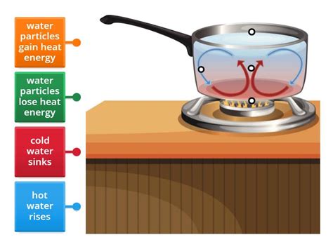 Label The Convection Diagram Labelled Diagram