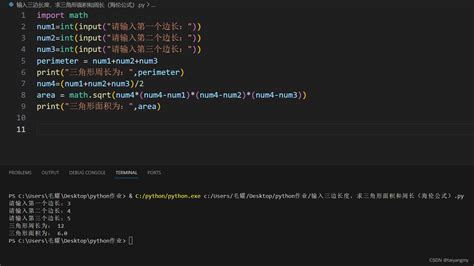 python第三次作业 csdn博客