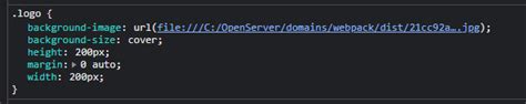 javascript webpack generates duplicate images stack overflow