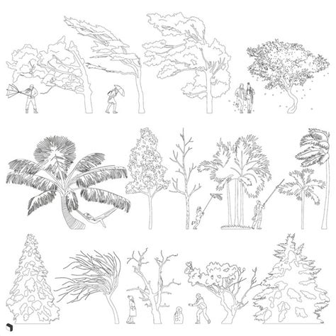 Cad Seasonal Trees DWG Toffu Co Tree Dwg Forest Plants Cad Blocks