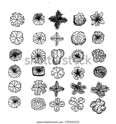 Trees Top View Architecture Landscape Design Stock Vector Royalty Free