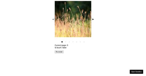 Vue Carousel Resize Bug Codesandbox