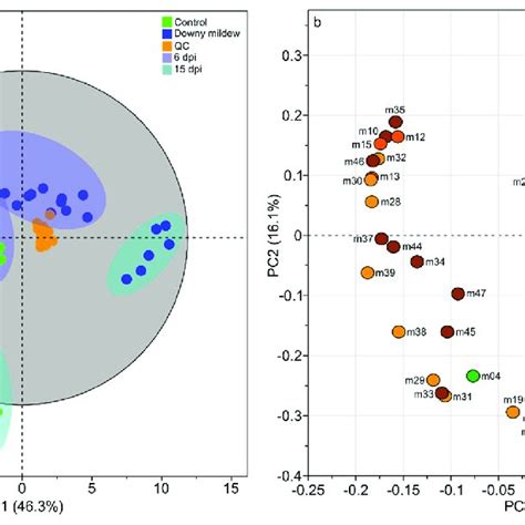 unsupervised classification using principal component analysis pca on download scientific