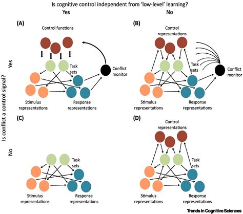 measuring adaptive control in conflict tasks trends in cognitive sciences