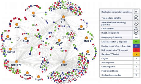 Global Transcriptional Regulatory Network Model For E Faecalis The