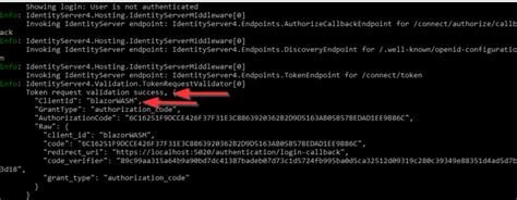Using Access Token With Blazor WebAssembly HttpClient