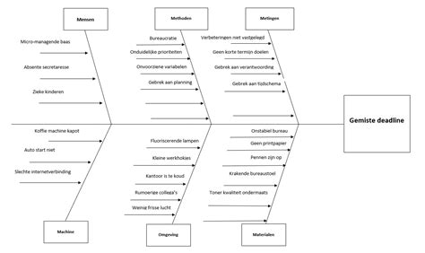 Ishikawa Diagram Lean Six Sigma Groep