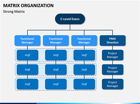 Matrix Organization PowerPoint And Google Slides Template PPT Slides