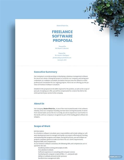Software Project Proposal Template Google Docs Word Apple Pages