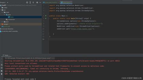 selenium java环境搭建 selenium java环境配置 csdn博客