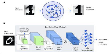 a image inference process in an oscillatory neural network b download scientific diagram