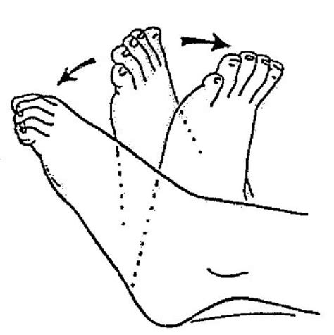 3 Ankle Range Of Motion Real Time Pain Relief
