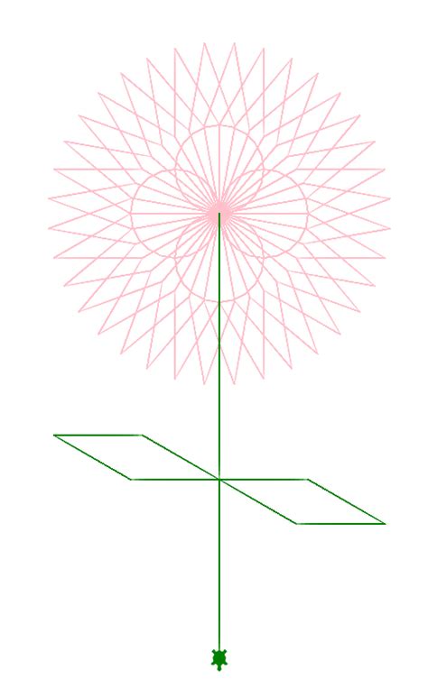 how to draw a flower using python turtle