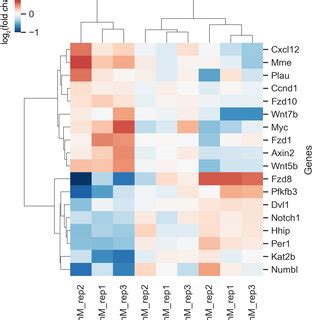Figure Supplement 2 Hierarchical Clustering Heatmap Of Genes Whose