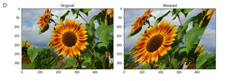 image augmentation using skimage in python codespeedy