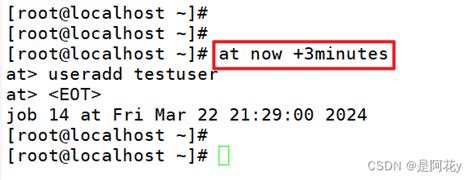 linux【定时任务实战】 —— cron表达式andat命令 cron一分钟执行一次 csdn博客