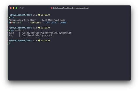 [feat] ` list` should show a virtualenv s python if in cwd or activated · issue 33