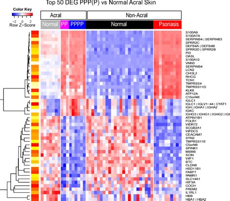 Heat Map Representing The Expression Profiles Of The Top