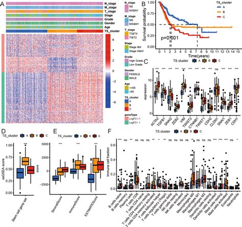 Consensus Clustering Of TCGA BLCA Cohort A Unsupervised Clustering Of