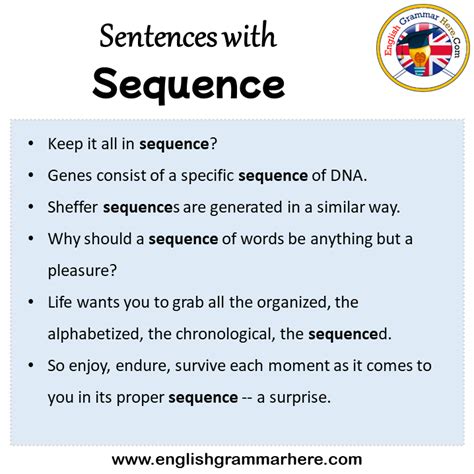 sentences with sequence sequence in a sentence in english sentences for sequence english