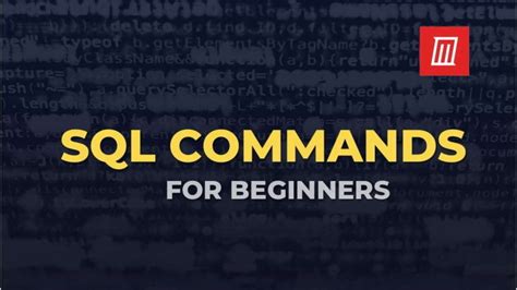 sql commands for beginners cheat sheet free download bayd