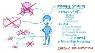 Macrophages What Are They Different Types Function And More Osmosis