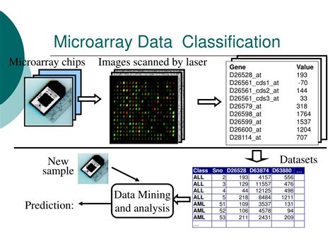 ppt microarray powerpoint presentation free download id 6629535