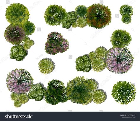 Ilustrasi Stok Collection Abstract Watercolor Tree Top View 1763554163