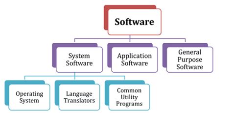 5 types of application software