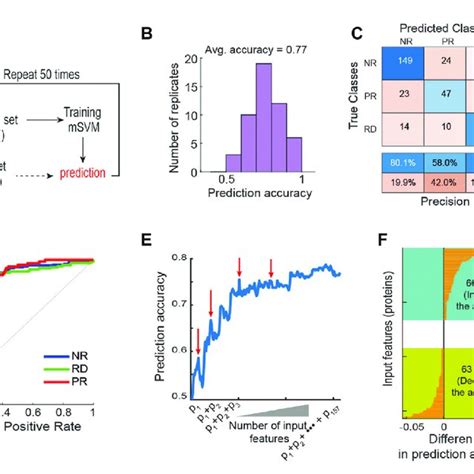 machine learning based prediction of response to 17 aag a a machine download scientific