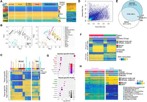 SeSAMe Analysis Reveals Principles Of The Epigenome Evolution A