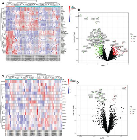 Frontiers Single Cell Sequencing Analysis And Multiple Machine
