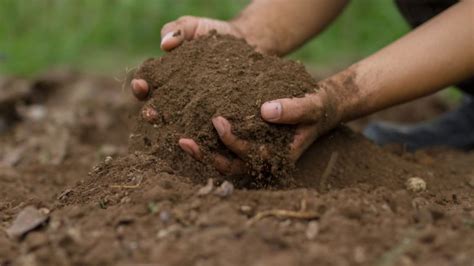 How To Seal A Pond With Bentonite 3 Simple Strategies Covered Plus