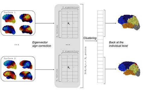flowchart of group spectral clustering individual eigenvectors are download scientific diagram