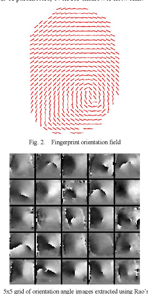 figure 2 from fingerprint classification using convolutional neural networks and ridge