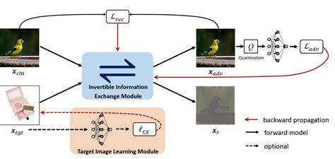 imperceptible adversarial attack via invertible neural networks