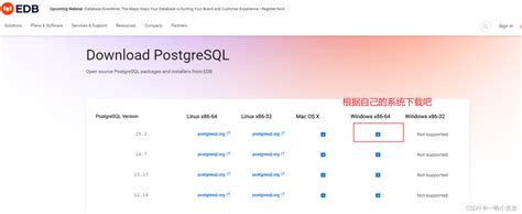 python办公自动化之postgresql篇1——postgresql安装 保姆级教程 csdn博客