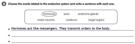 Tic Tac Science Year 6 Unit 4 Reproduction Sexual Characteristics