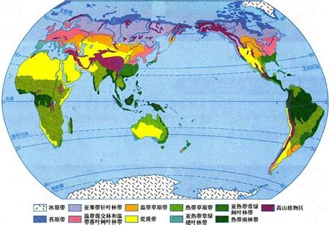 世界气候类型分布图简图下载 世界气候类型分布图高清版大图 极光下载站